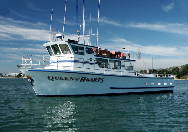 Queen of Hearts, Sportfishing | Fish Reports